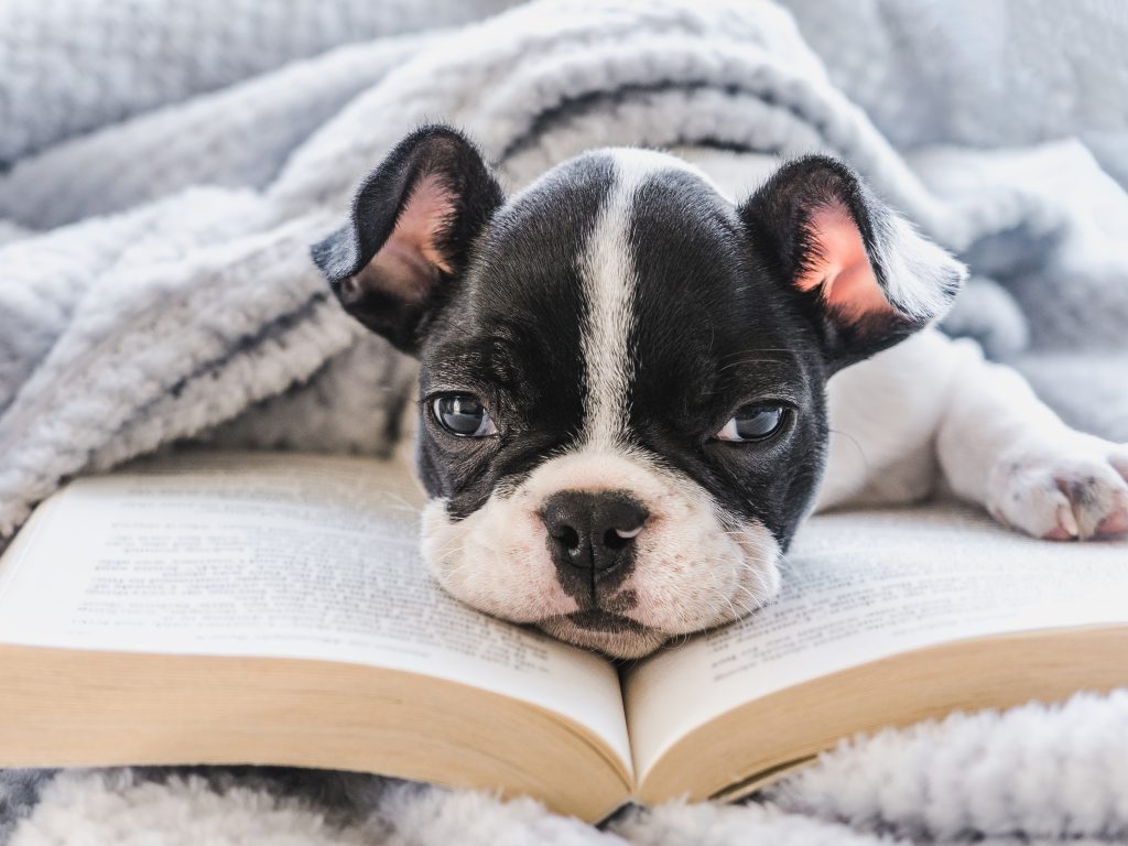 Literacy Tips & Tricks | Wood Buffalo Regional Library